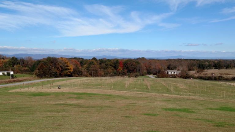 Sampling the Blue Ridge Mountain Wineries - Project Bold Life